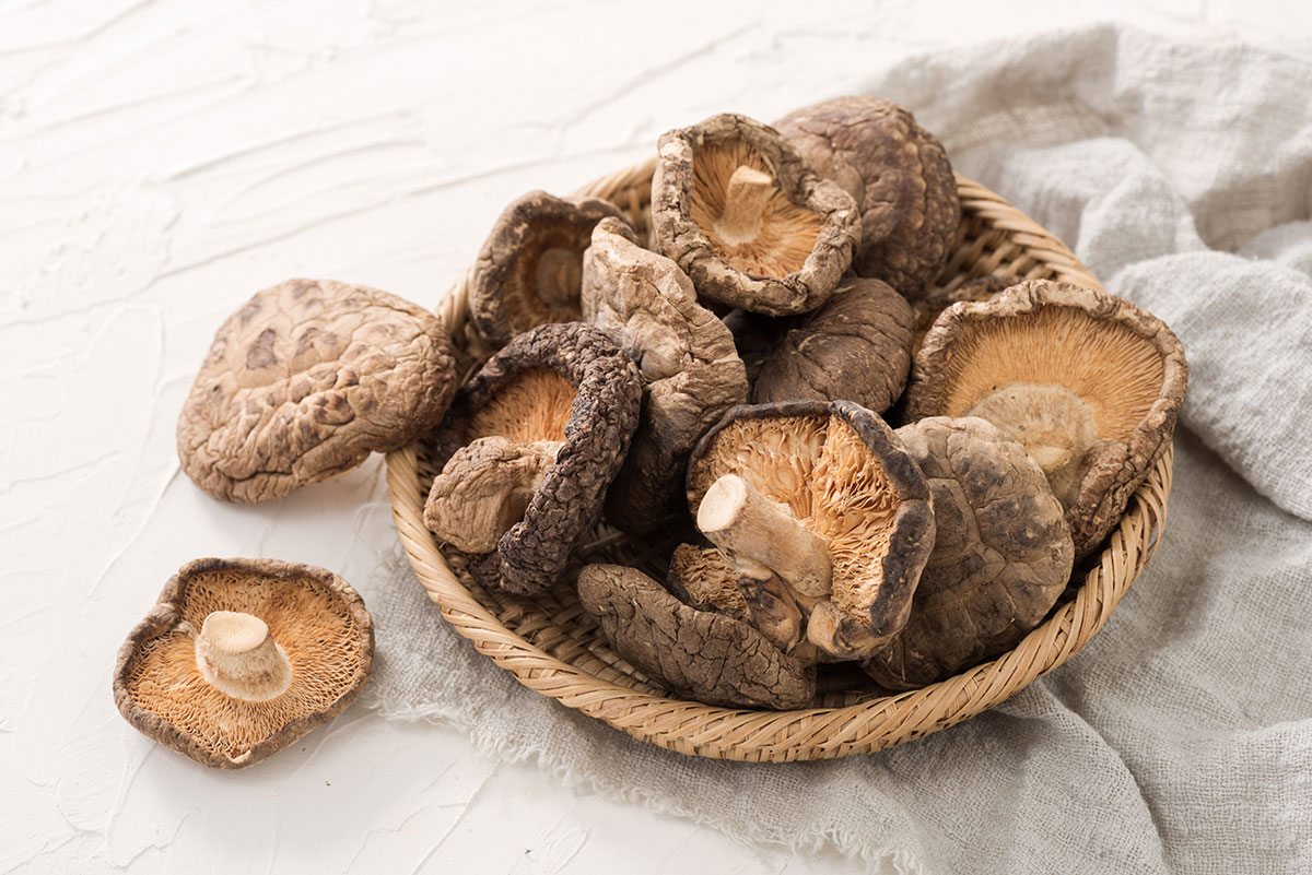 Grzyby shiitake – właściwości zdrowotne, przeciwskazania